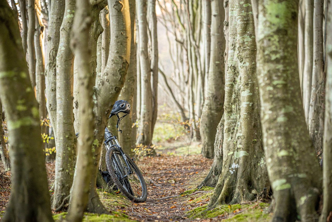 A Guide to the Thrilling Adventures of Blankets Creek Mountain Bike Trails